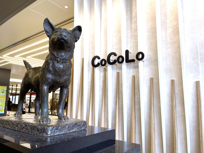 JR新潟駅直結の「CoCoLo新潟」内にラーメン＆バルが集まる『ニイガタ バル★麺横丁』 | favy[ファビー]